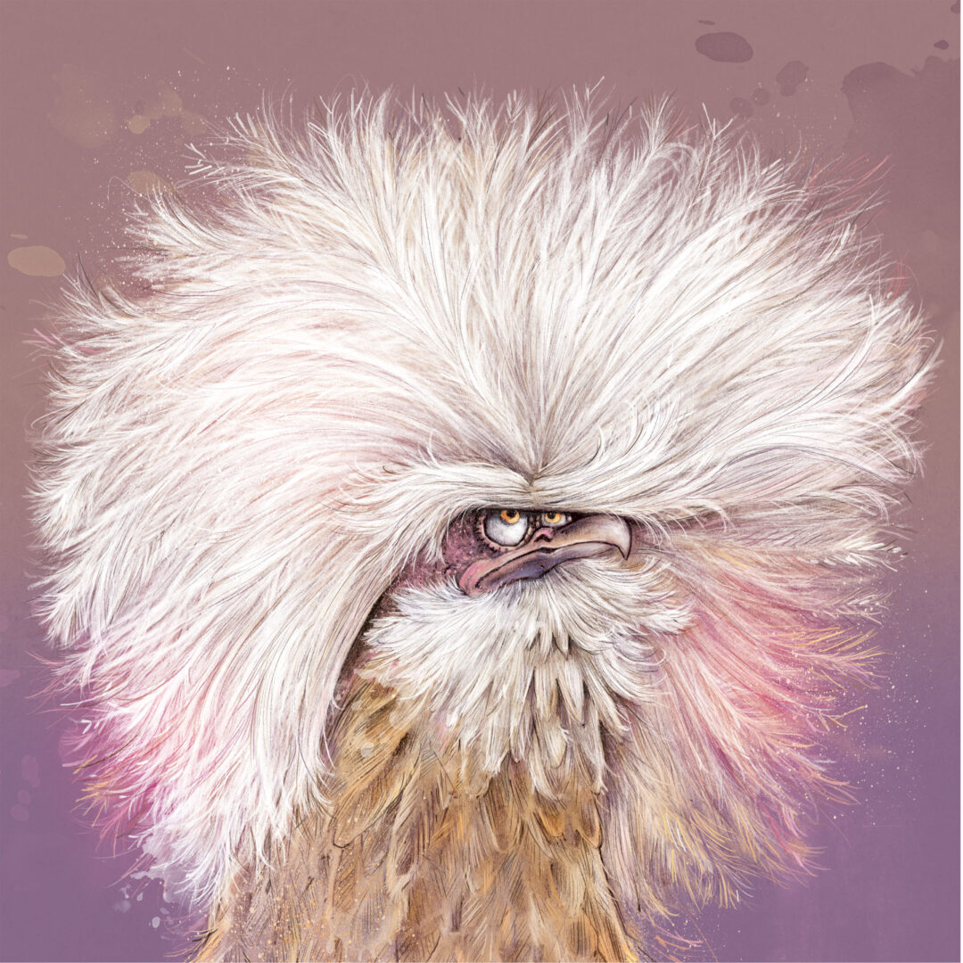 Stephen Stone – Hireillo | Hire an Illustrator