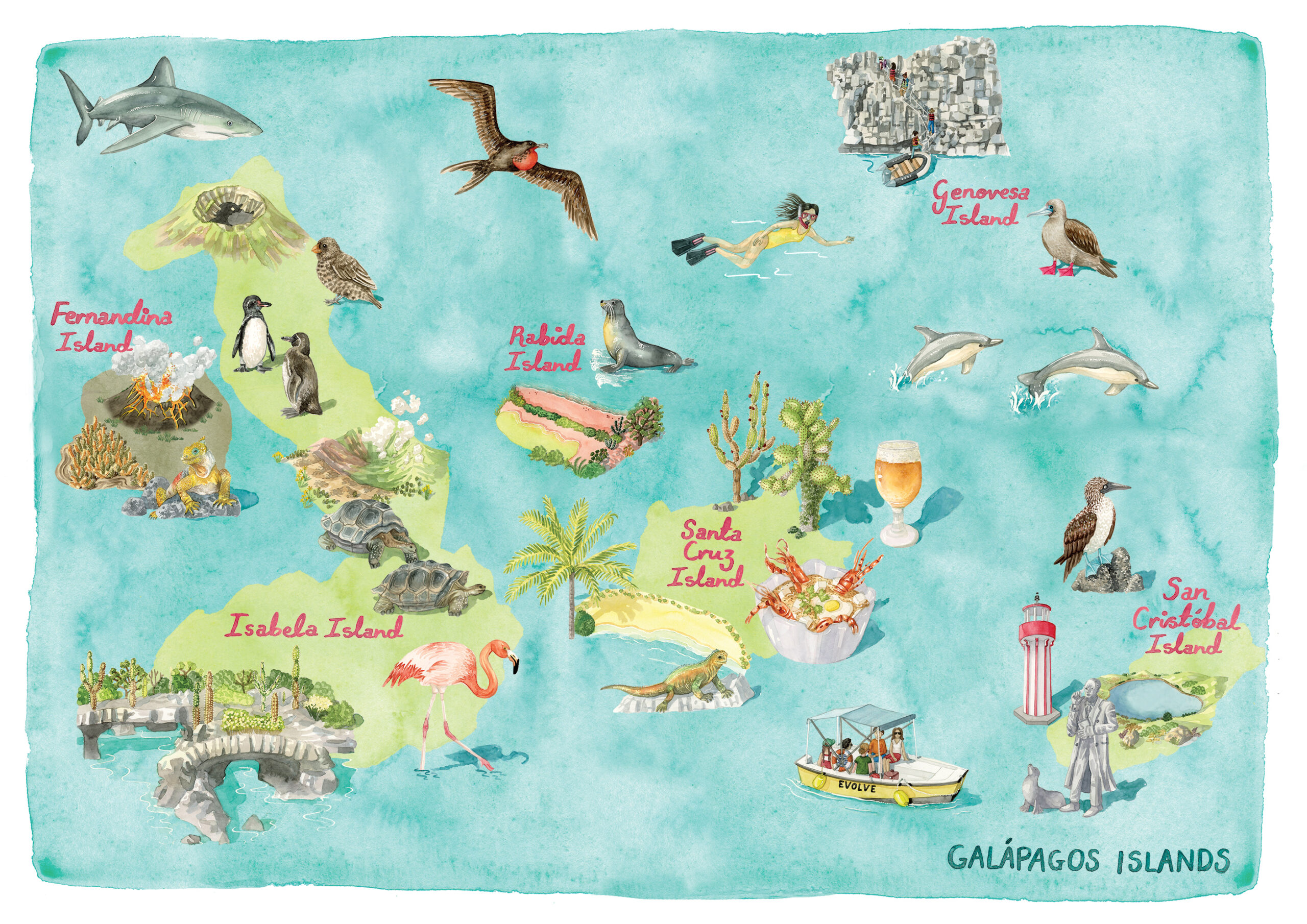 Private Map Commission of the Galapagos Islands – Hireillo | Hire an ...