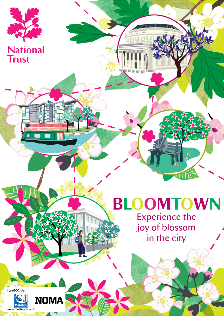 Bek Cruddace – Hireillo | Hire an Illustrator