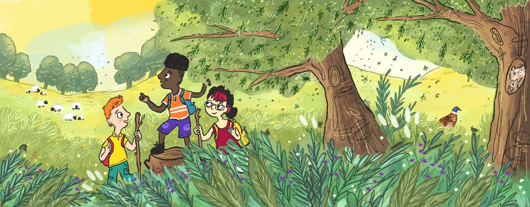 Darren Gate – Hireillo | Hire an Illustrator