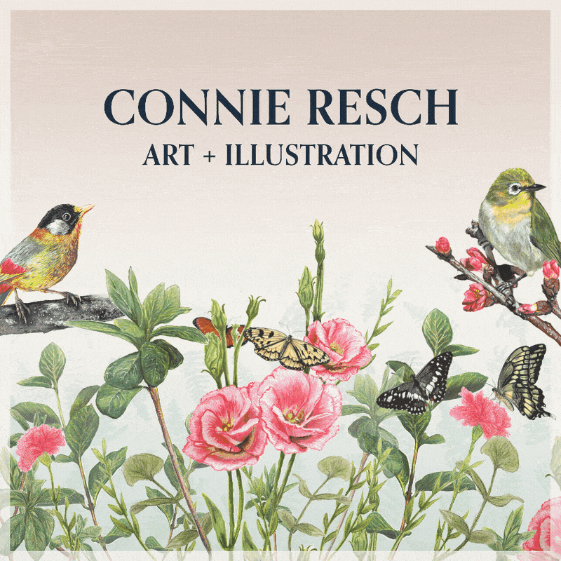 Connie Resch – Hireillo | Hire an Illustrator