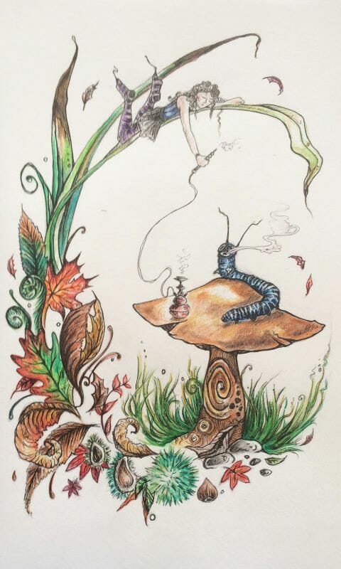 Emily Holyoake – Hireillo | Hire an Illustrator