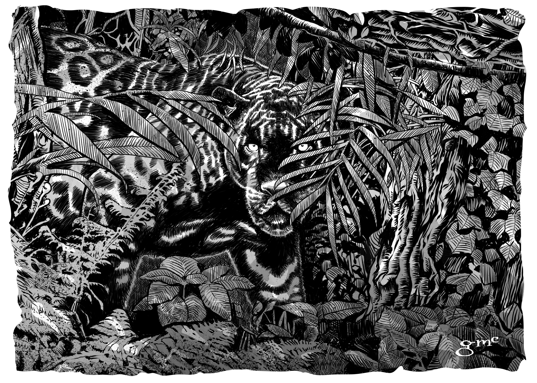 Gary McCluskey – Hireillo | Hire an Illustrator