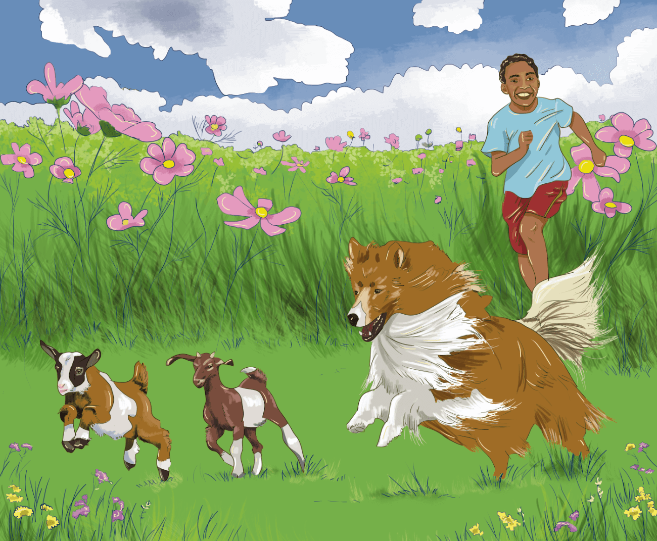 Ruth Park – Hireillo | Hire an Illustrator