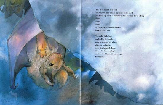 Alan Marks – Hireillo | Hire an Illustrator