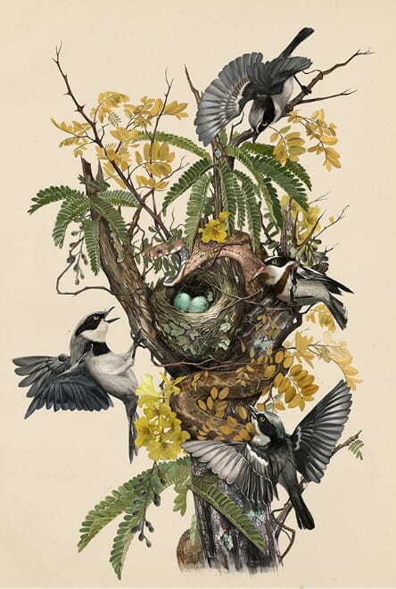 Caroline Vos – Hireillo | Hire an Illustrator