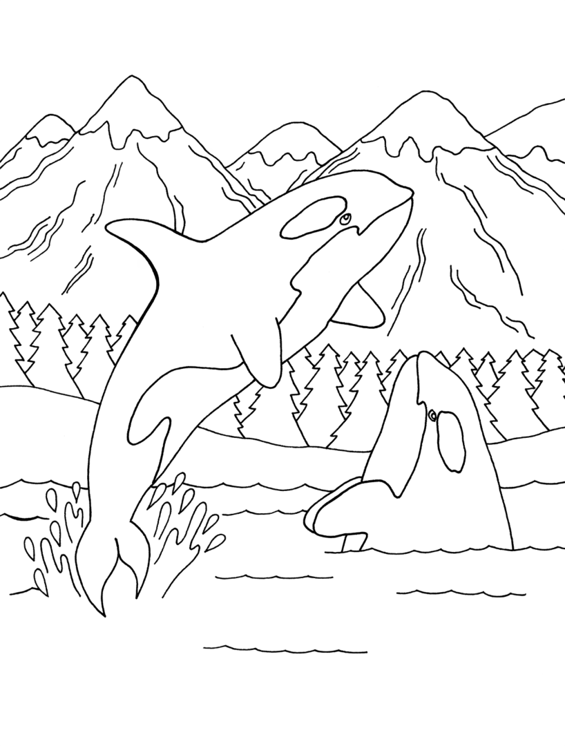 Caroline Whelan – Hireillo | Hire an Illustrator