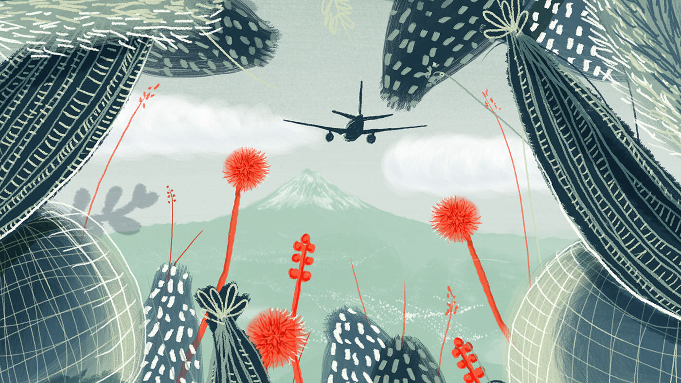 Clare Davis – Hireillo | Hire an Illustrator