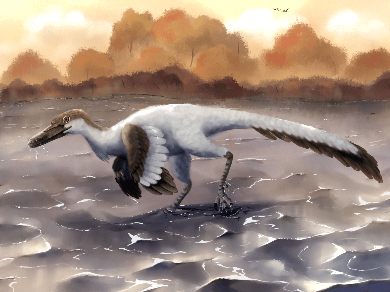 Toni-lyn Smith – Hireillo | Hire an Illustrator