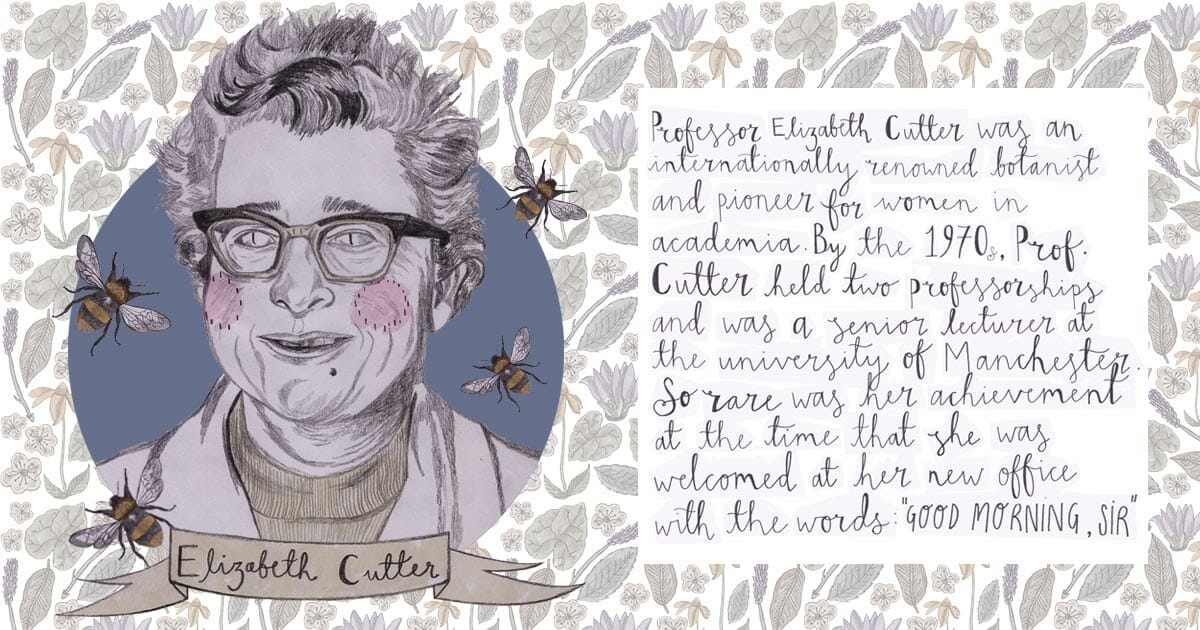 Daisy Steele – Hireillo | Hire an Illustrator