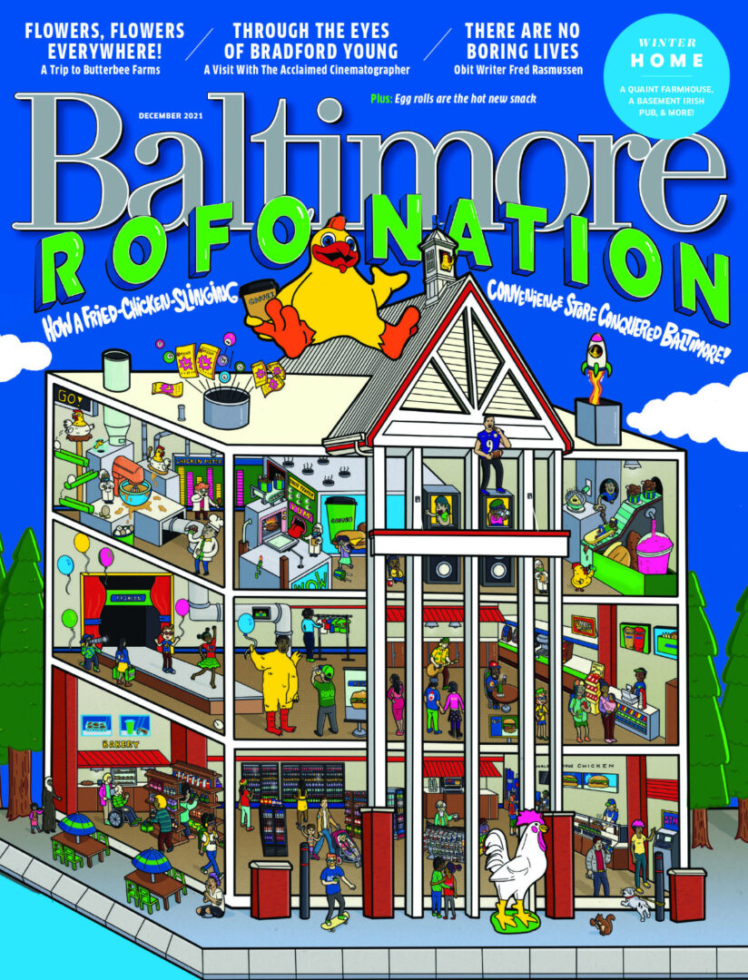 Daniel Sulzberg – Hireillo | Hire an Illustrator