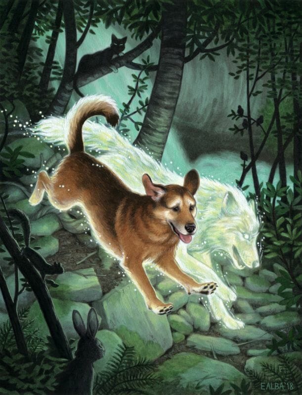 Elisabeth Alba – Hireillo | Hire an Illustrator