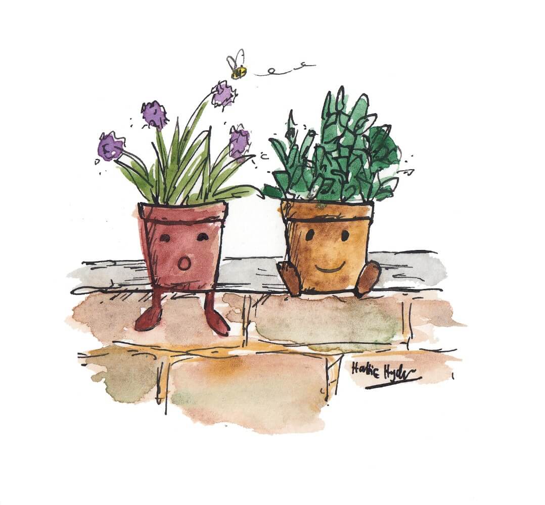 Hattie Hyder – Hireillo | Hire an Illustrator