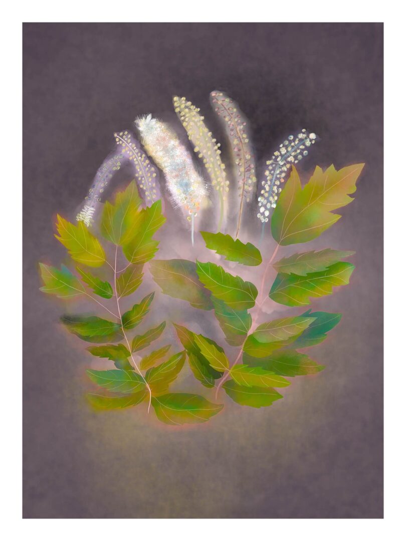 Ren Elizabeth – Hireillo | Hire an Illustrator