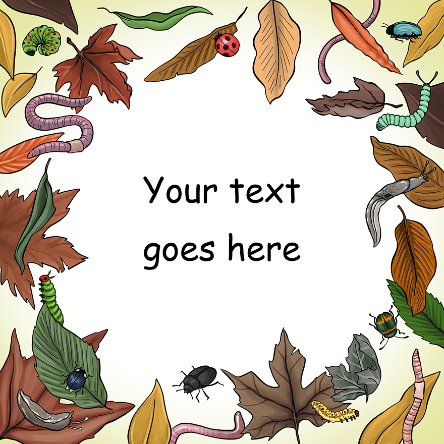 Izzy Bean Hireillo Hire An Illustrator