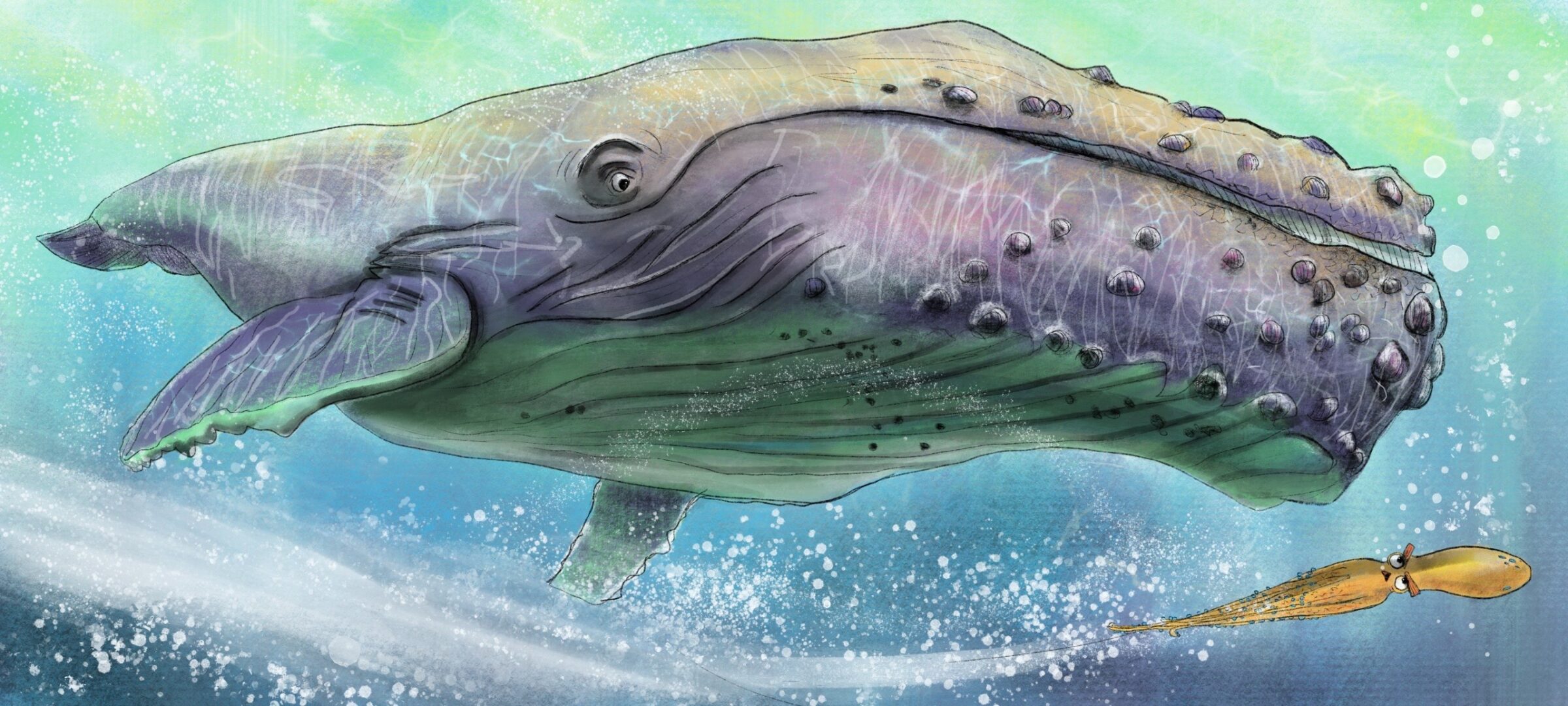 Jennifer Doehring – Hireillo | Hire an Illustrator