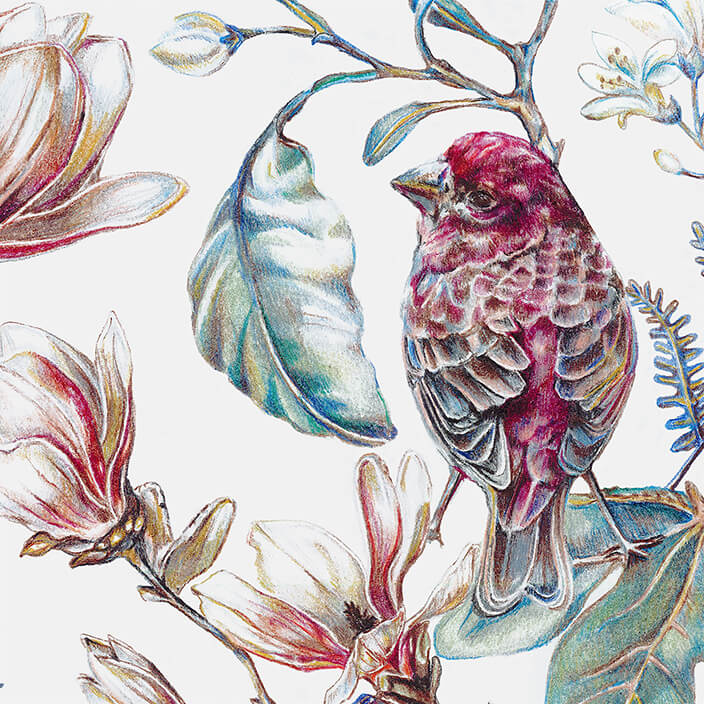 Fashion – Hireillo | Hire an Illustrator