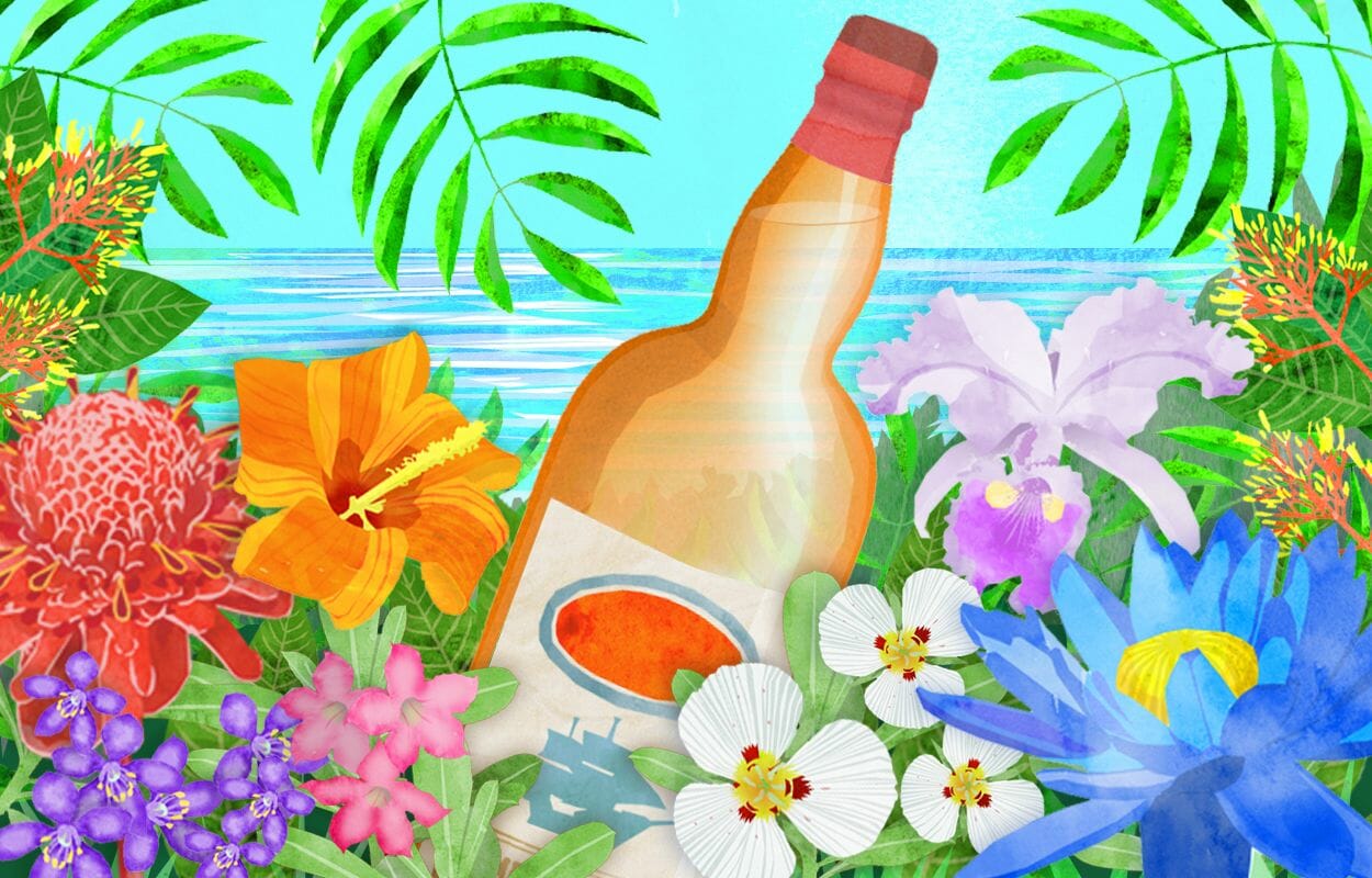 Maria Burns – Hireillo | Hire an Illustrator