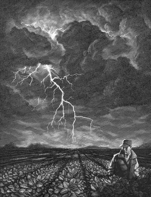 Mark Summers – Hireillo | Hire an Illustrator