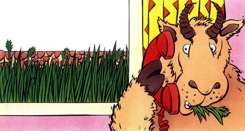 Martin Bailey – Hireillo | Hire an Illustrator