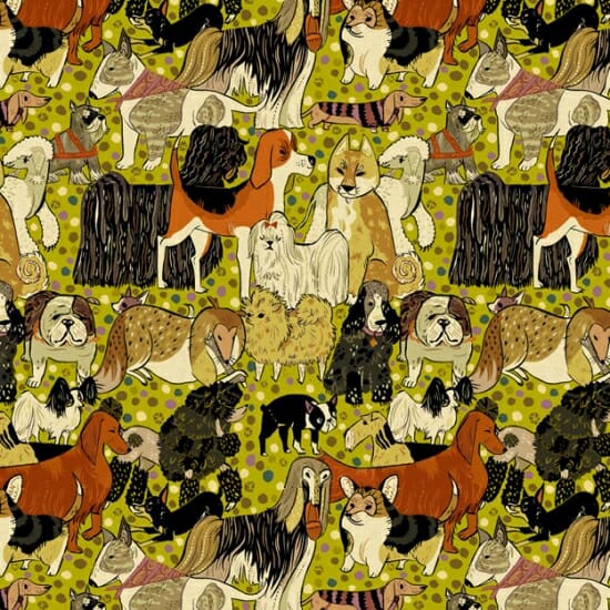 Meg Hunt – Hireillo | Hire an Illustrator