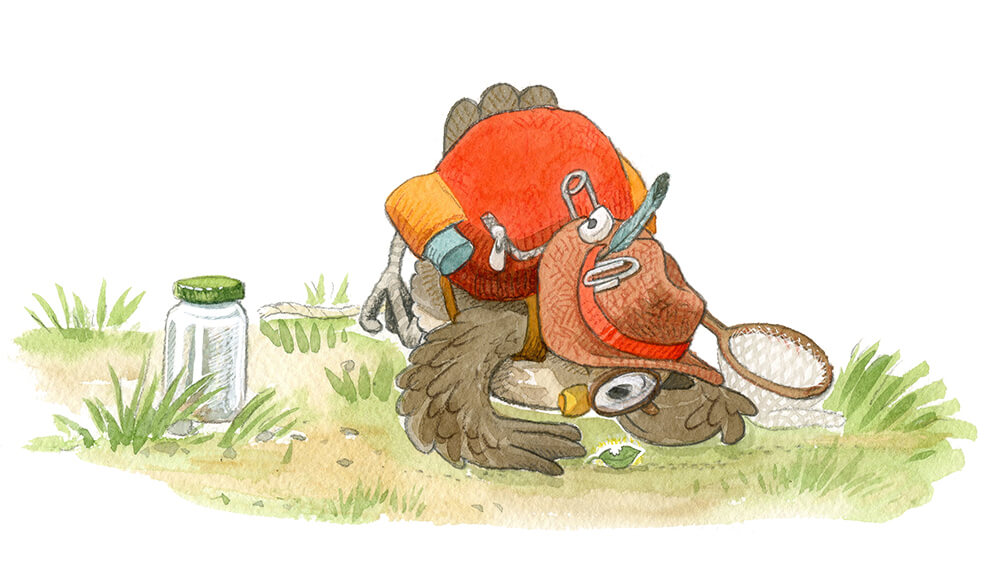 Mirka Hokkanen – Hireillo | Hire an Illustrator