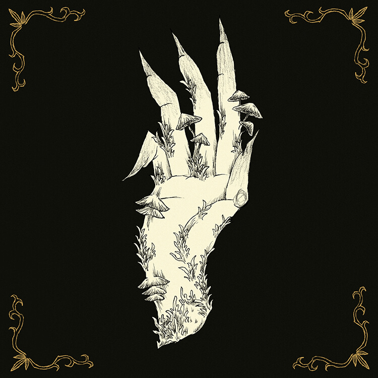 Rachel Bostick – Hireillo | Hire an Illustrator