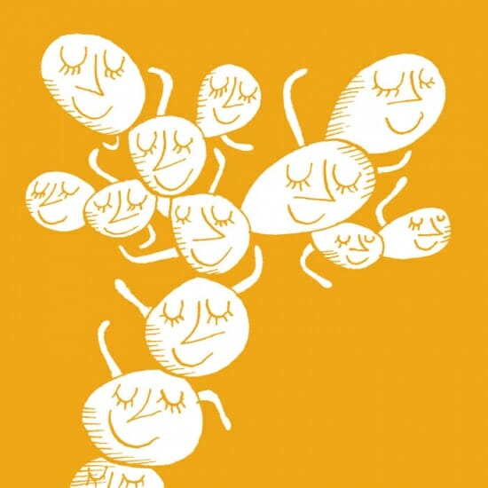 Robert Shadbolt – Hireillo | Hire an Illustrator