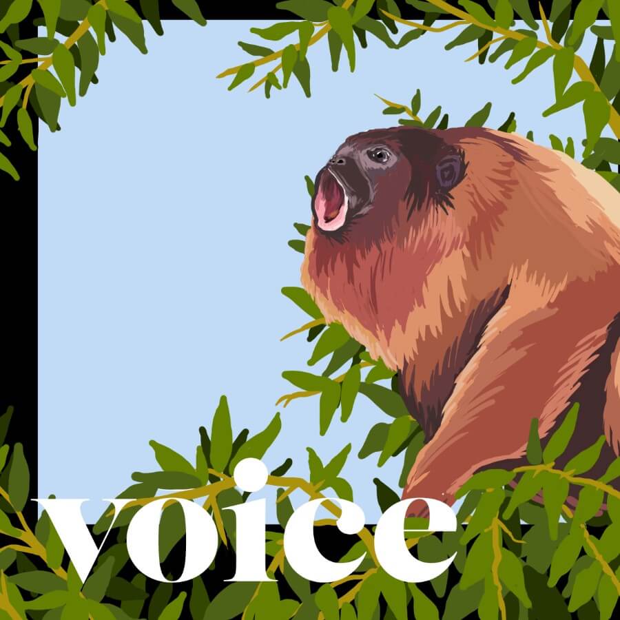Sarah Bowe – Hireillo | Hire an Illustrator