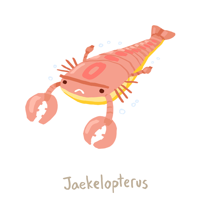 Natural History – Hireillo | Hire an Illustrator