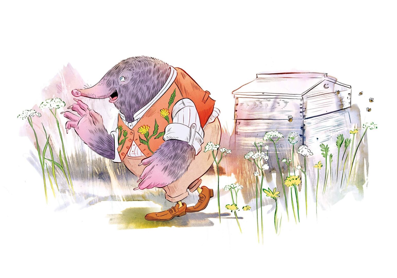 Stephen Stone – Hireillo | Hire an Illustrator