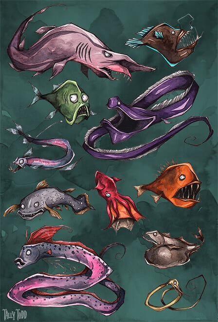 Tally Todd – Hireillo | Hire an Illustrator