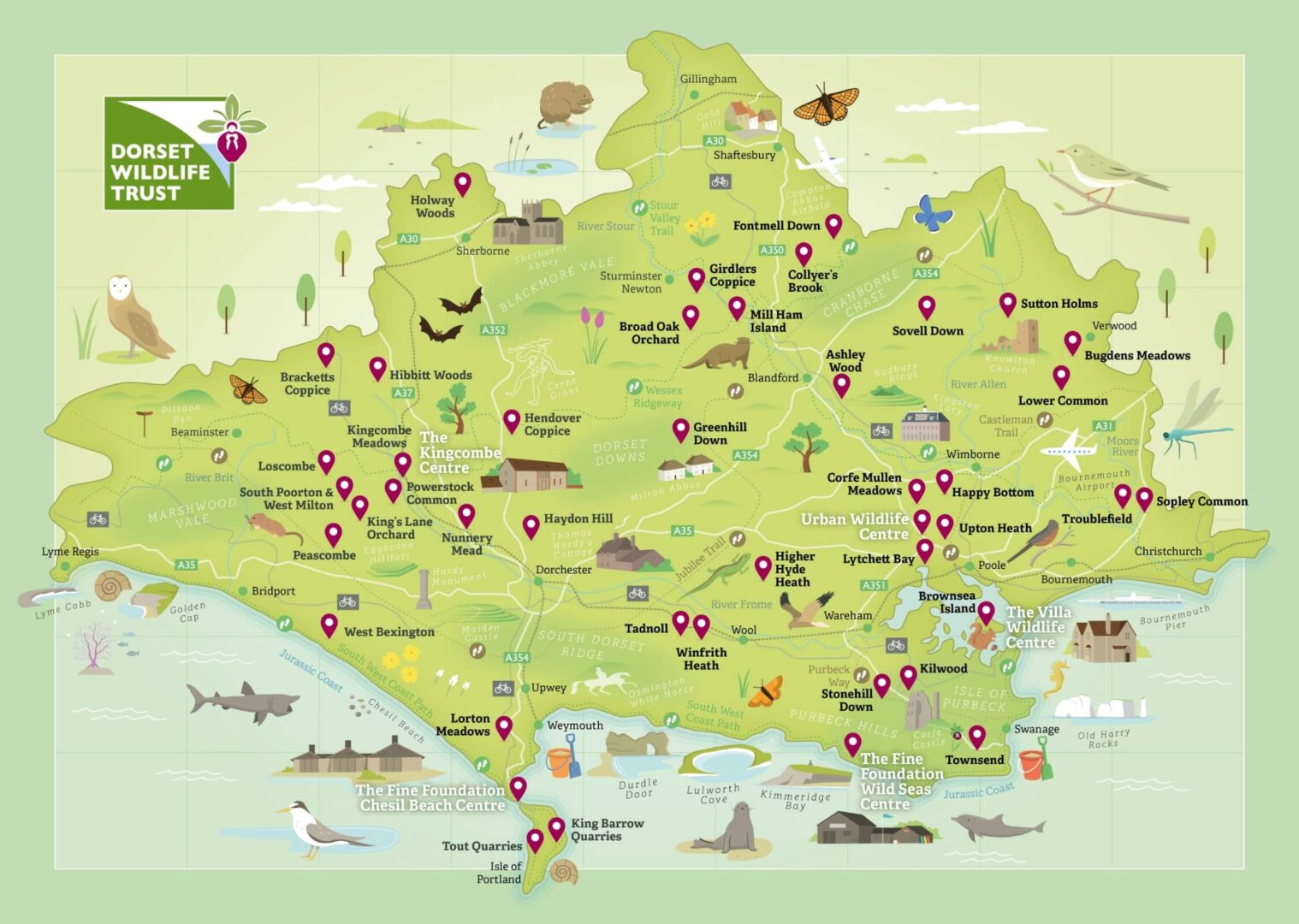 Tom Woolley – Hireillo | Hire an Illustrator