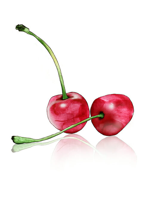 Pattern Design – Hireillo | Hire an Illustrator