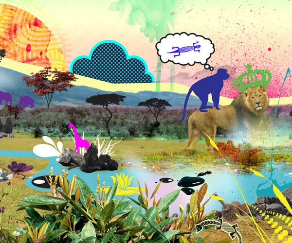 Set Designs for Absolutely Cuckoo – Hireillo | Hire an Illustrator