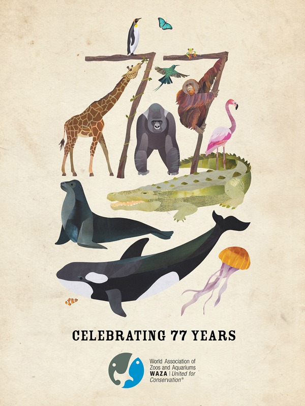 World Association of Zoos & Aquariums Commemorative Print – Hireillo ...