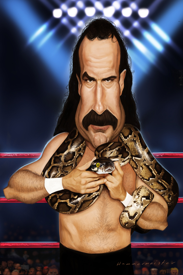 Jake The Snake Roberts – Hireillo | Hire an Illustrator