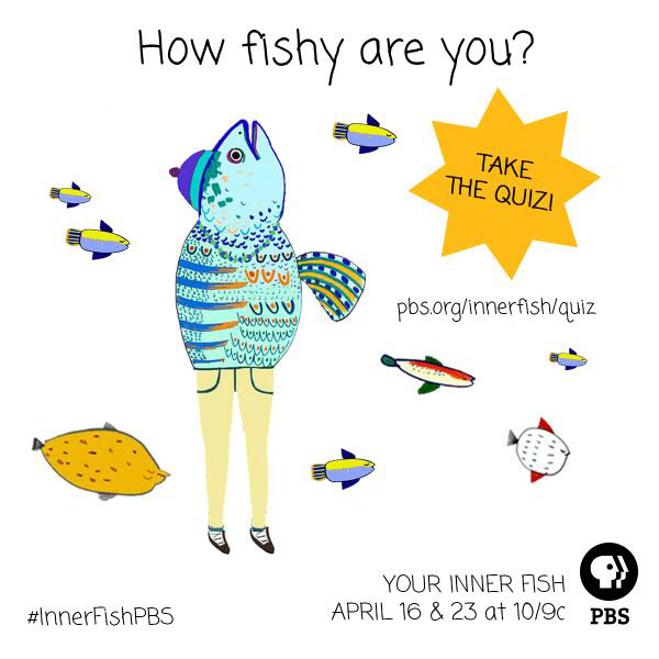 Pbs Inner Fish Documentary Quiz Illustrations – Hireillo | Hire an ...