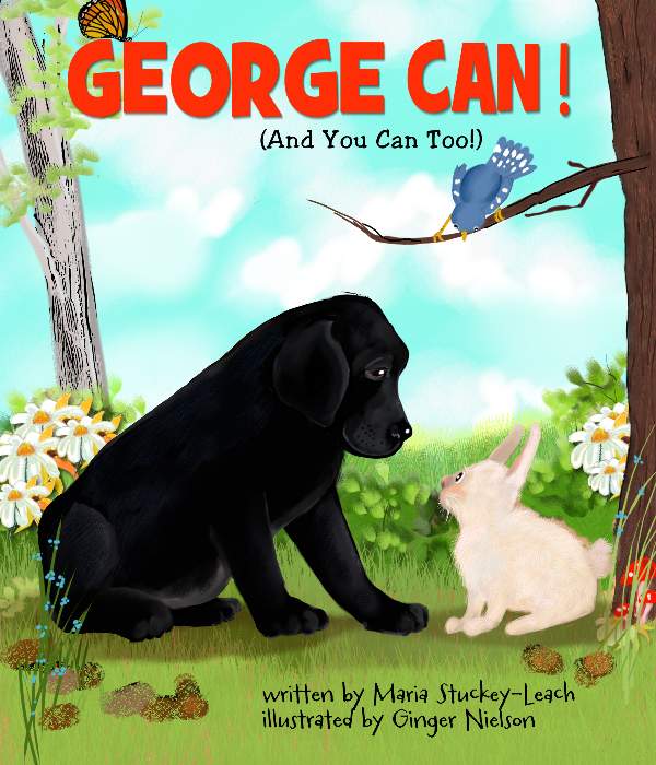 George Can! And You Can Too! – Hireillo | Hire an Illustrator