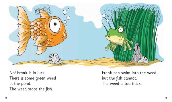 Frank Flees a Fish, Ransom Publishing – Hireillo | Hire an Illustrator