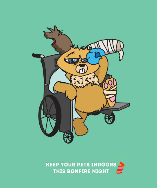 Animal Safety Poster – Hireillo | Hire an Illustrator