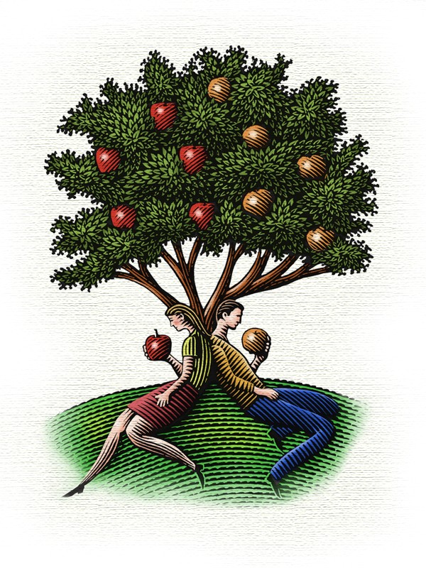 Nature Made Print Ads – Hireillo | Hire an Illustrator