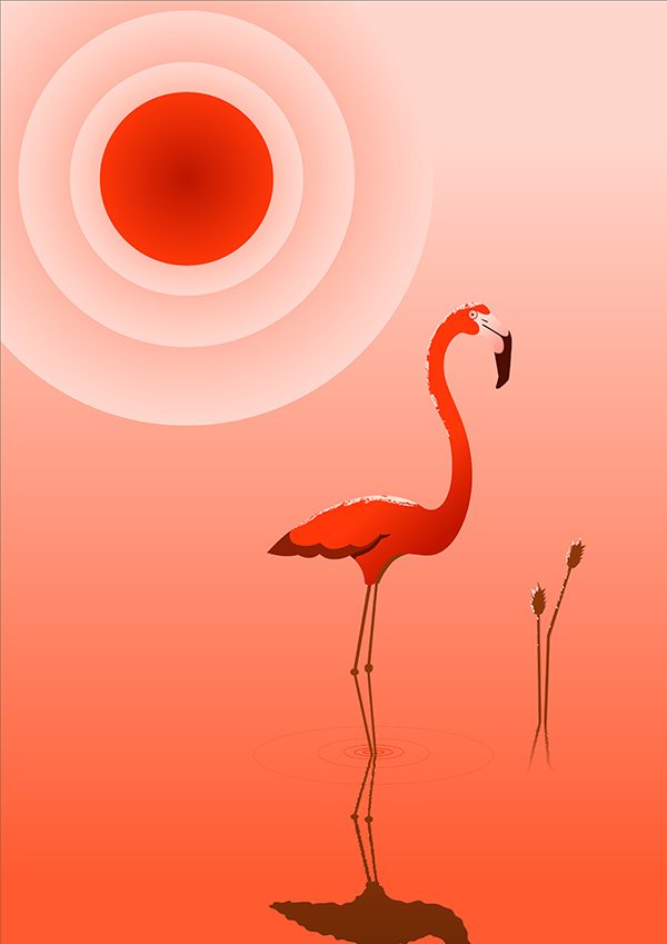 Flamingo Sunset – Hireillo | Hire an Illustrator