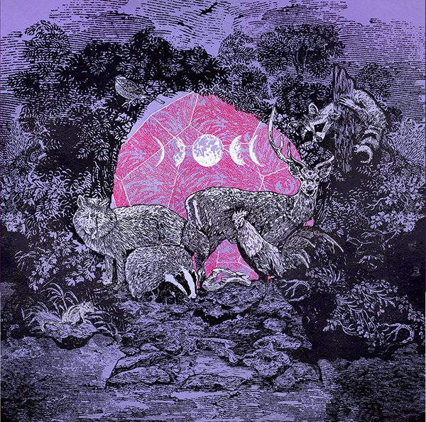 Universal Records / Secret 7 – Strange Creatures – Hireillo | Hire an ...