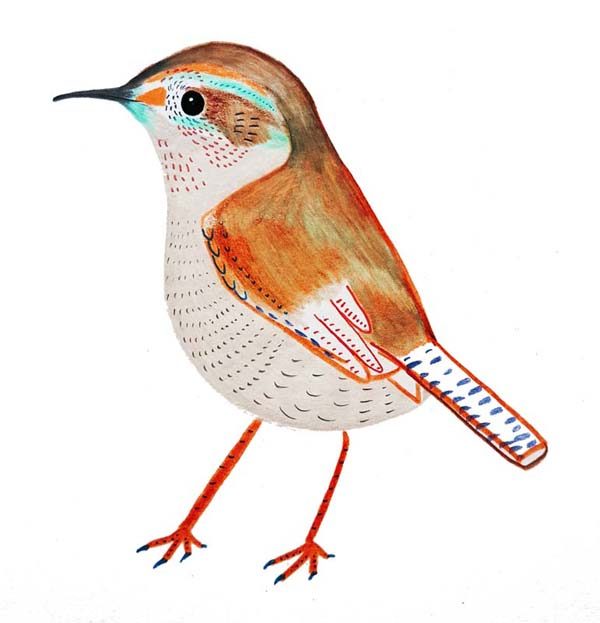 13 Birds – Hireillo | Hire an Illustrator