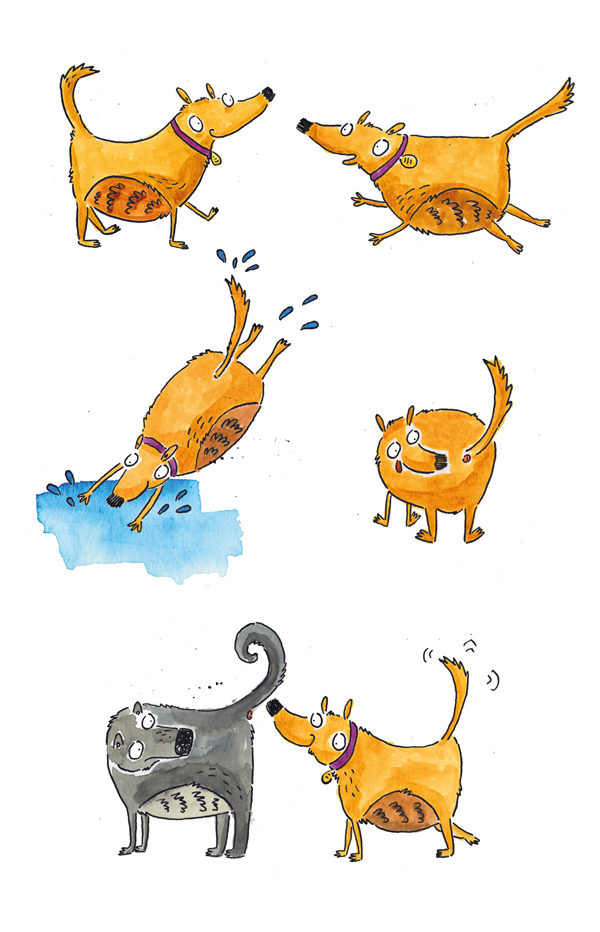 Wet Dog Children’s Book Character Concepts – Hireillo | Hire an Illustrator