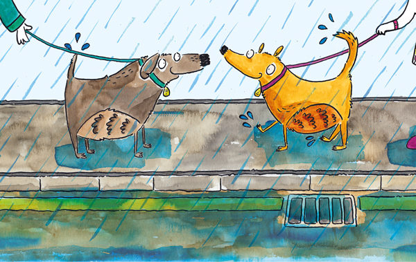 Wet Dog Children’s Book Character Concepts – Hireillo | Hire an Illustrator