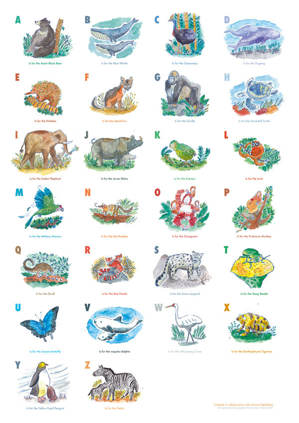 Endangered Animal Series Poster – Hireillo | Hire an Illustrator