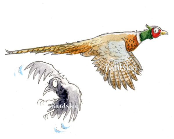 Mark Bardsley’s Crazy Animal Poems Launch! – Hireillo | Hire an Illustrator