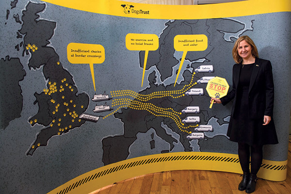 Illustrations and Campaign Banner for Dogs Trust Uk – Hireillo | Hire ...